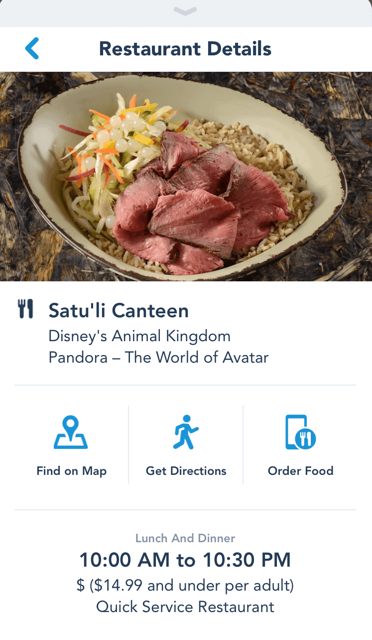 How to Use Disney Mobile Ordering on Your Disney World Vacation