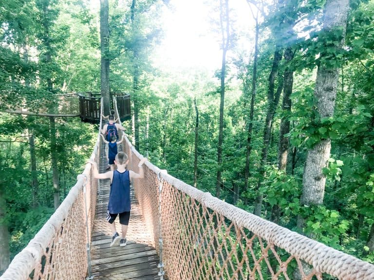 Anakeesta Review: Should You Visit on Your Tennesse Vacation?