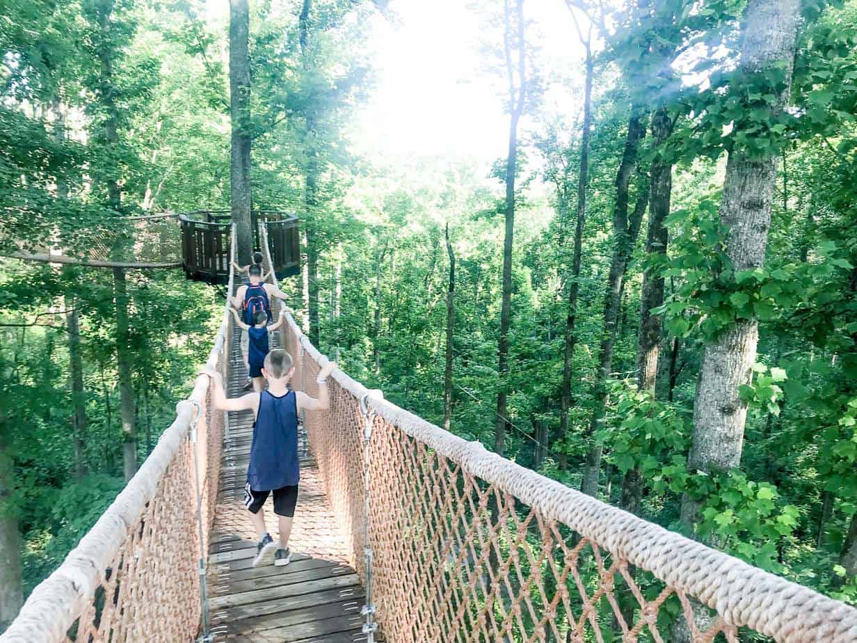 Anakeesta Review: Should You Visit on Your Tennesse Vacation?