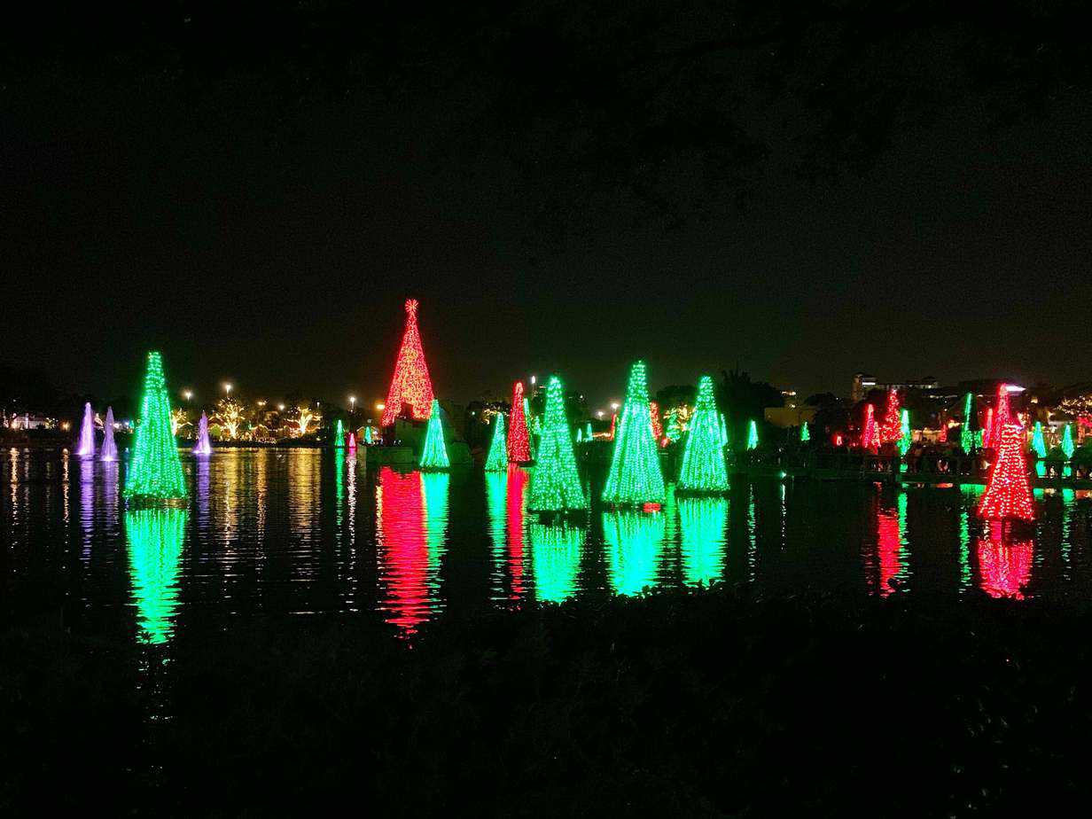 Christmas at SeaWorld Orlando | 7 Things to Do at SeaWorld's Christmas ...