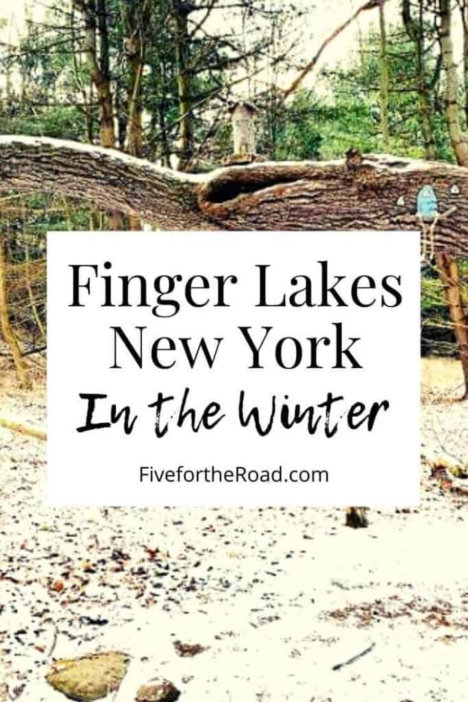 12 Fun Things to Do in the Finger Lakes in Winter - NY State Travel