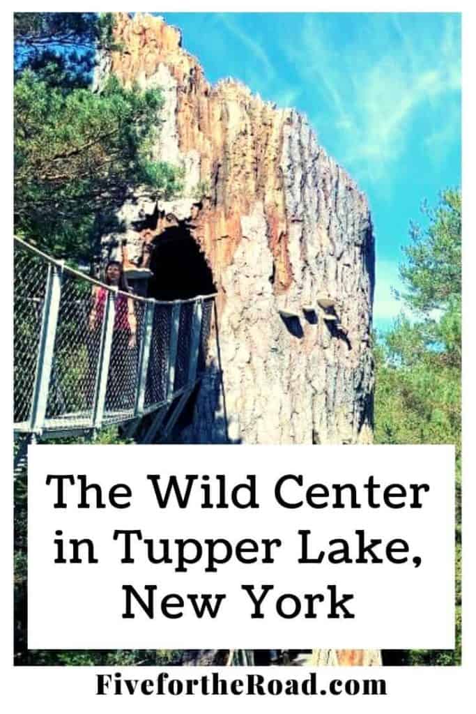 Exploring the Adirondacks Wild Center in NY - Family of Five Family Travel
