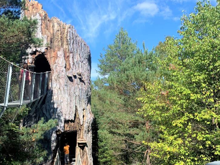 Exploring the Adirondacks Wild Center in NY - Family of Five Family Travel