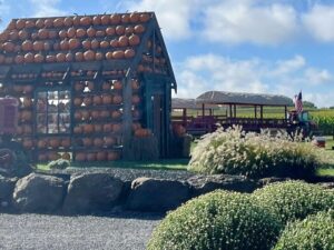 Visiting Wickham Farms: What to Do & Tips for Planning Your Day